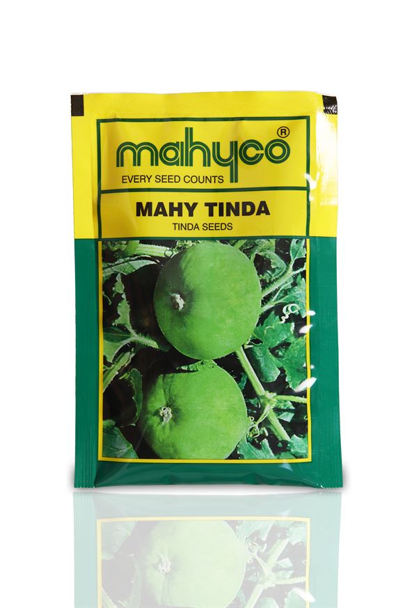 Mahy Tinda Seeds 250gm