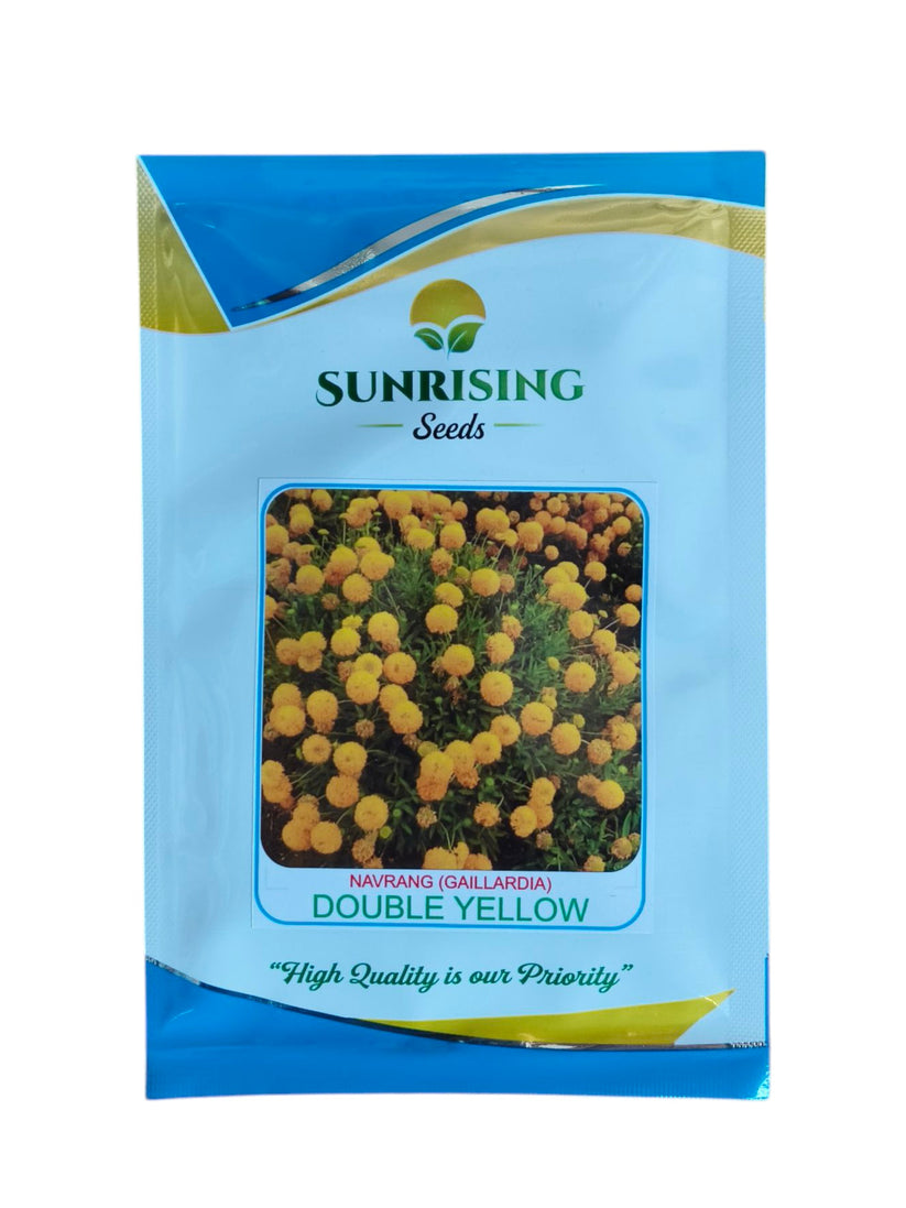 Navrang (Gaillardia) Double Yellow Sunrising Flower Seed
