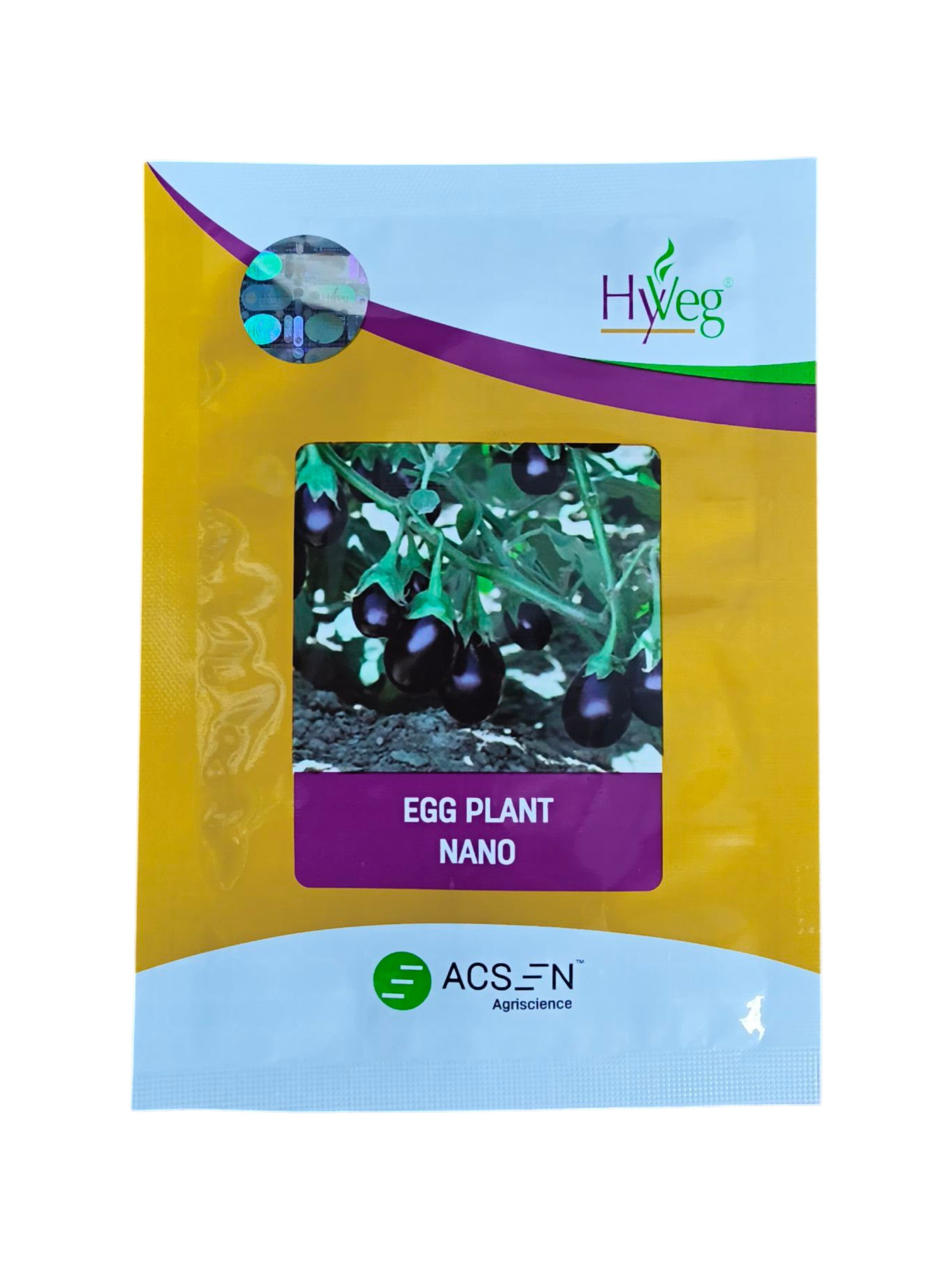 Brinjal Nano F1 Hybrid Hyveg Seeds (बैंगन)