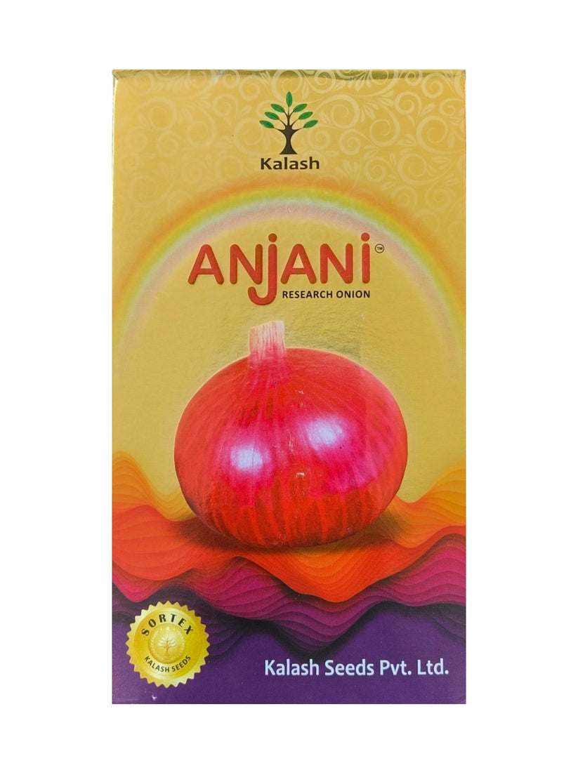 Onion Anjani Kalash Seeds (500Gm)
