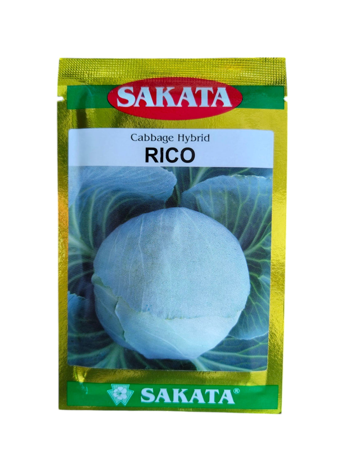 Hybrid Cabbage Rico Sakata Seeds (10GM)