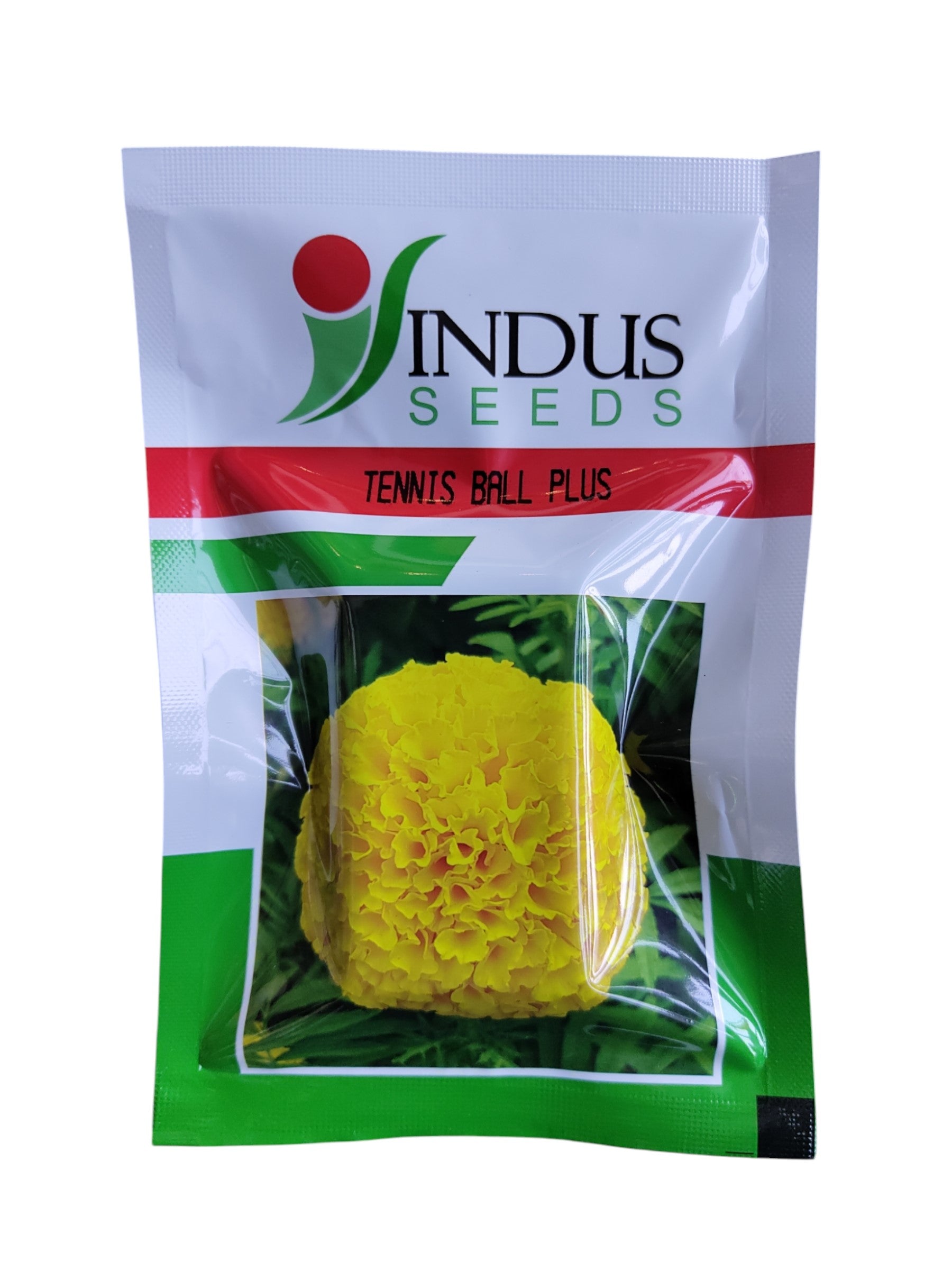 Beejkart.com: India's No.1 Online Plant Store| Buy Seeds & gardening